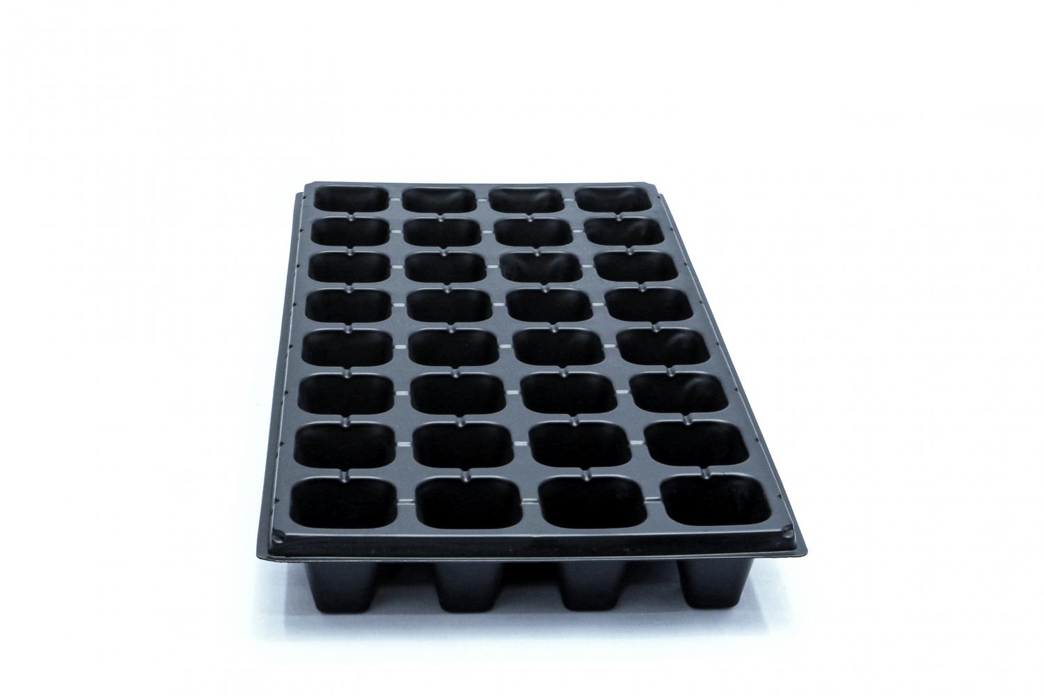 SEEDING TRAY | Simanis Orchids